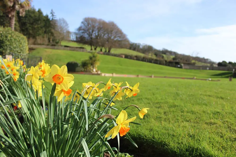 Easter Breaks in Devon | Cofton Holidays, Dawlish, Devon