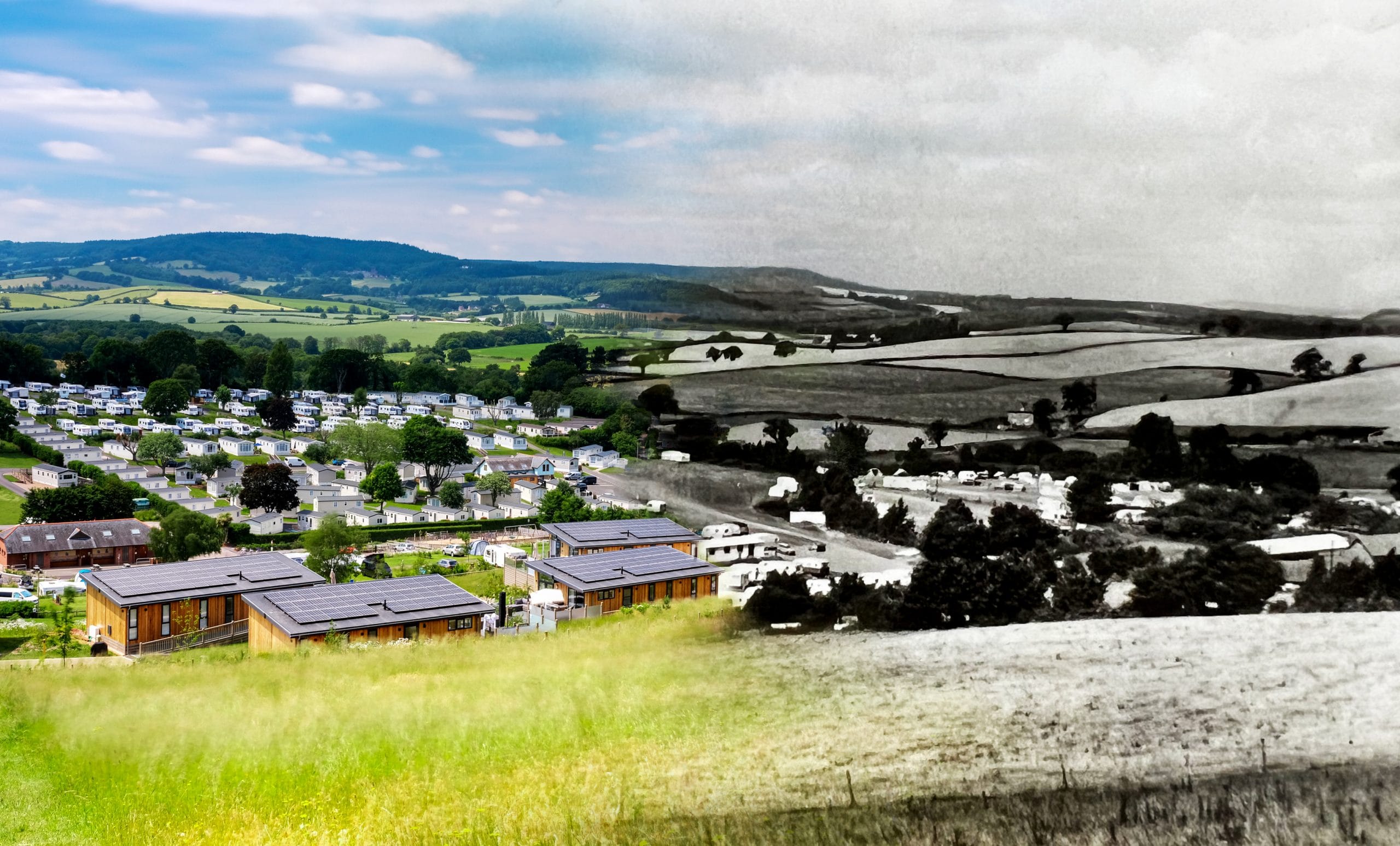 Cofton Holidays Celebrates 50 Years of Memories! - Cofton Holidays